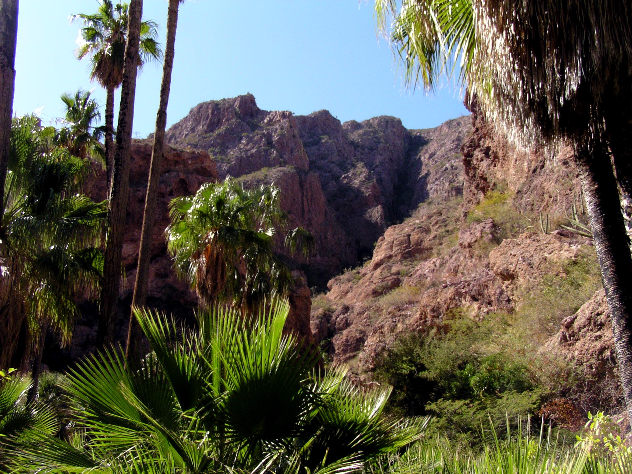 Nacapule Canyon San Carlos | Cañon de Nacapule