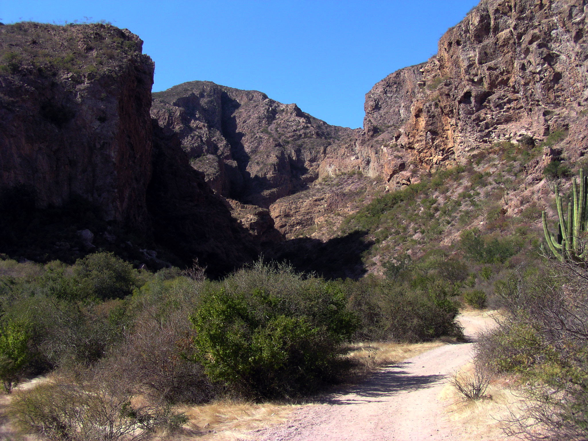 Nacapule Canyon San Carlos | Cañon de Nacapule