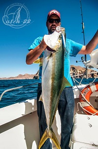San Carlos Fishing Report | Yearly Guide & Weekly Fishing Reports